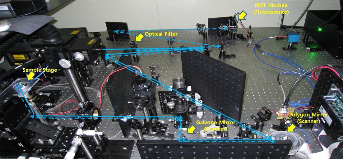 [보고서]Nano PIV와 세포단위의 혈류 가시화를 위한 Bio광학 시스템의 개발