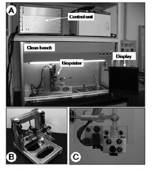 [보고서]영상 햅틱 융합 제어 기반의 다중 분사체 바이오 프린팅 시스템 개발