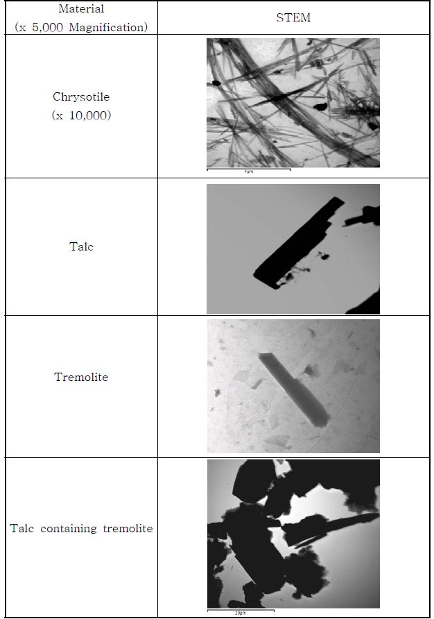 [보고서]의약 분야에서 석면 검출 탤크 노출자 관리 방안 마련을 위한 선행 연구