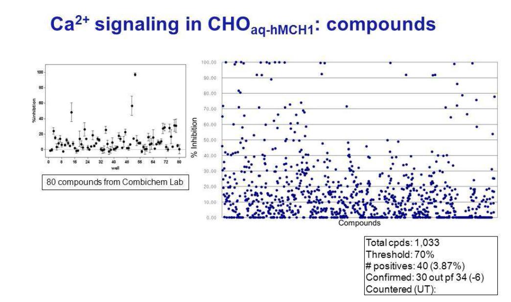 [보고서]화합물의 심순환계 부작용 평가