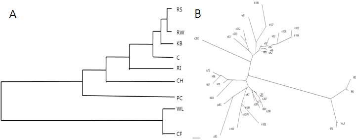 [보고서]국내 가금 유전자원 이용 고품질 닭고기 생산 연구