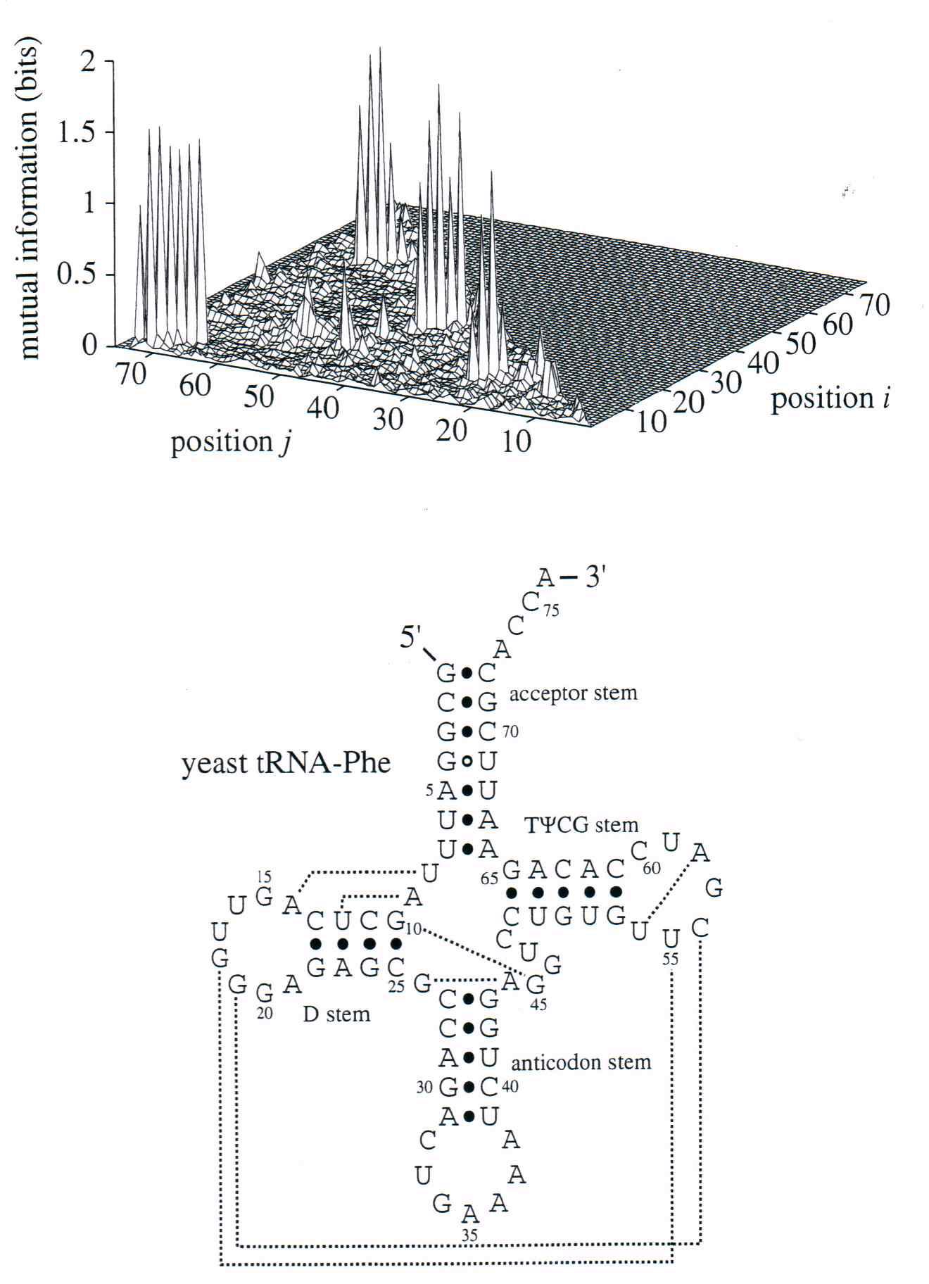 [보고서]종자 및 식물체 수명 기작 구명 및 통합적 해석 연구