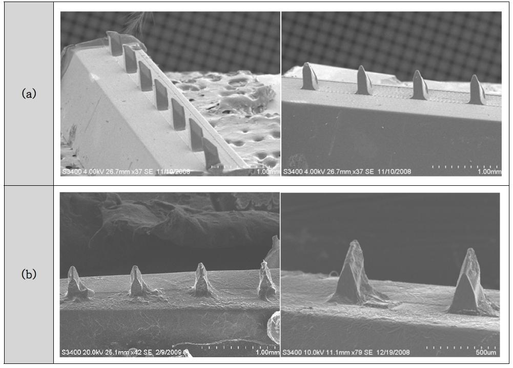 [보고서]미세유체 제어 기술을 이용한 고분자 제조 융합기술 인력양성사업