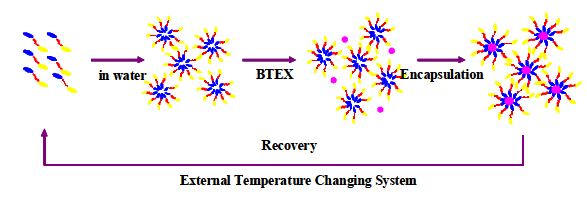 [보고서]BTEX 선택적, 고효율 분리를 위한 포획형 재생 가능 유기 나노 촉매 입자 소재 개발