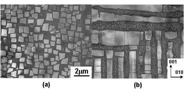 [보고서]금속간화합물을 이용한 연료전지시스템의 차세대 현지수소제조장치용 촉매박판재 개발