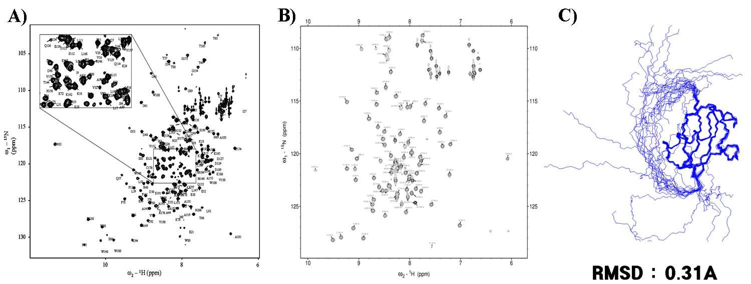 [보고서]질병 관련 수식화 단백질들의 삼차원 구조 및 기능규명을 통한 신호전달 네트워크 연구