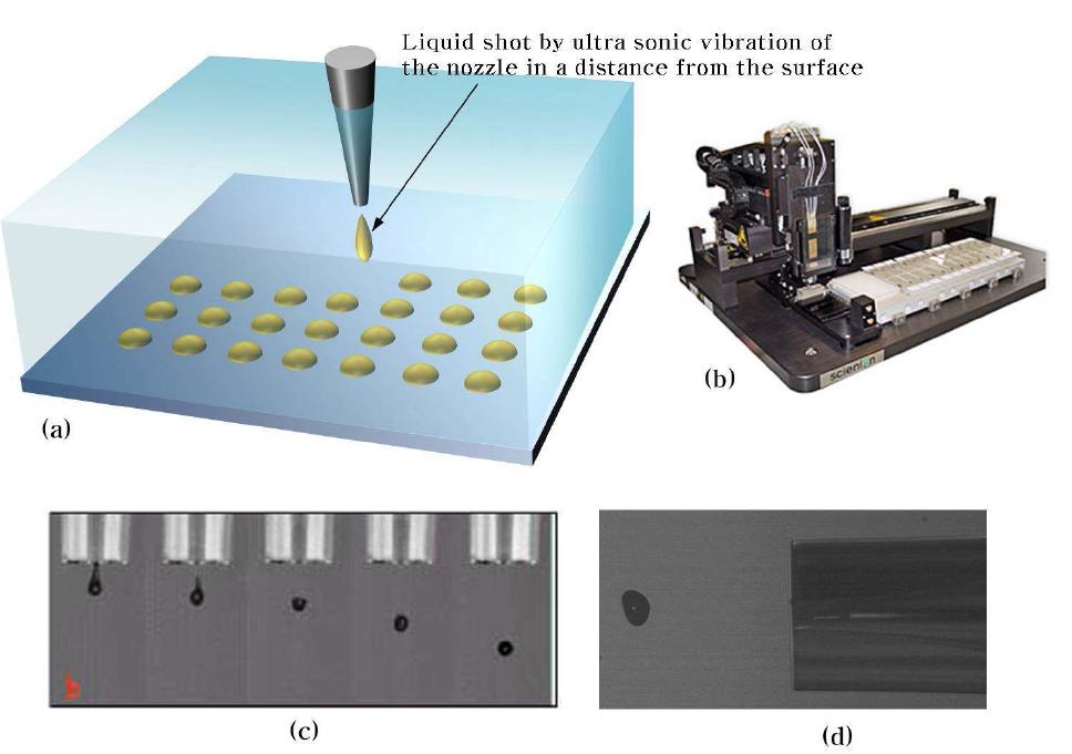 [보고서]나노박막을 이용한 화학기계변환시스템 개발