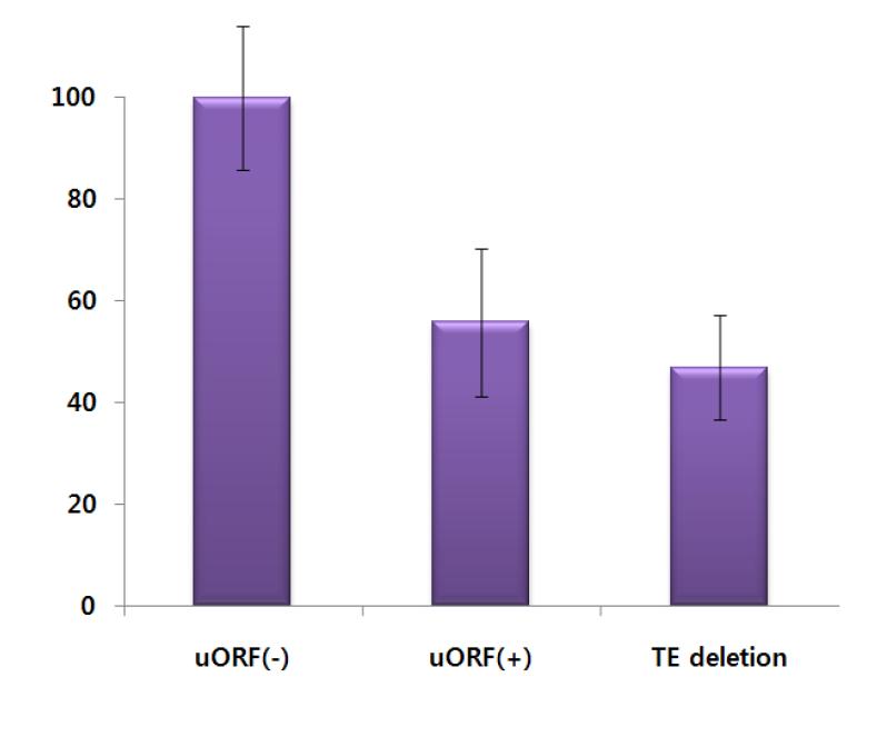 [보고서]가동성 인자 유래의 uORF에 의한 유전자 발현 조절 기작 규명