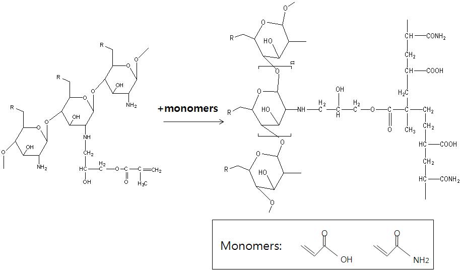 [보고서]속팽윤성과 고흡수성을 지닌 천연고분자계 초다공성 하이드로젤의 제조