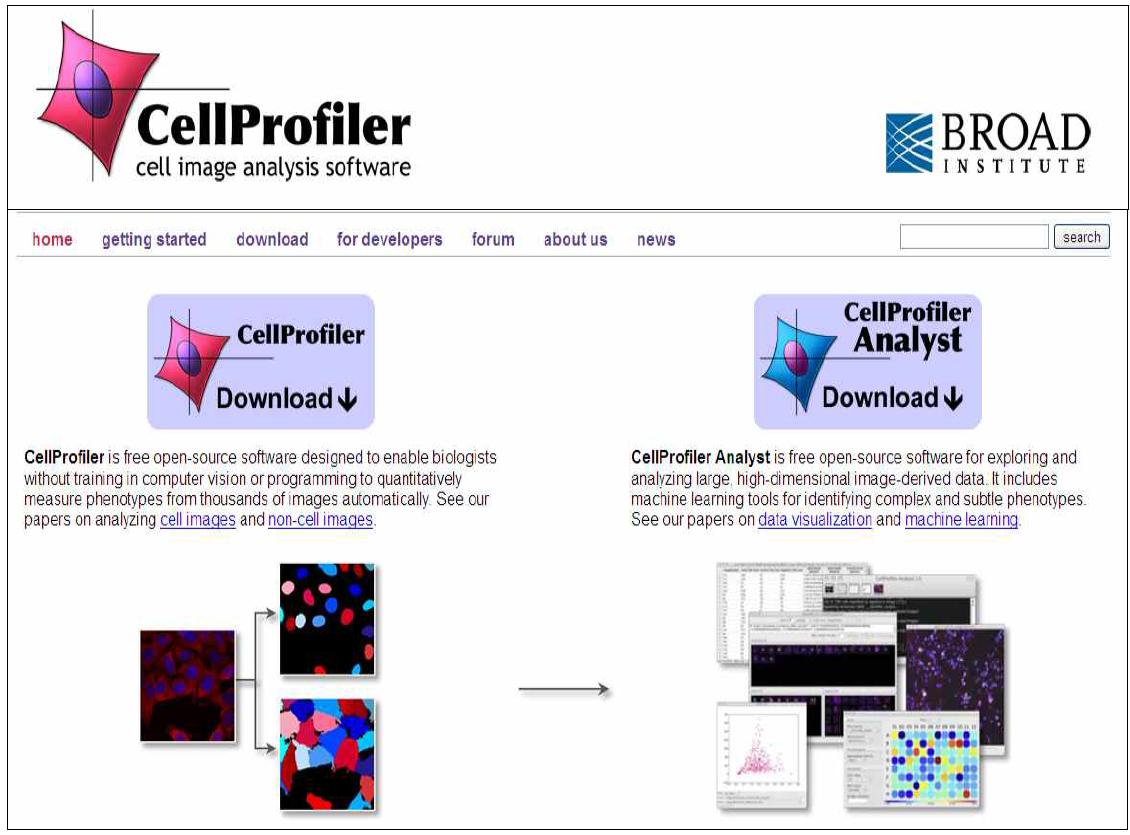 [보고서]바이오영상의 자동 분석 알고리즘 개발 및 소프트웨어 패키지 구현에 관한 연구