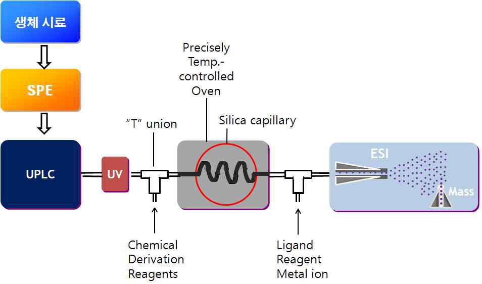 [보고서]극미량 Chiral Biomarkers와 Flavonoids의 고감도 검출을 위한 변형된 On-line UPLC-ESI/QToF-MS 시스템 개발 및 응용