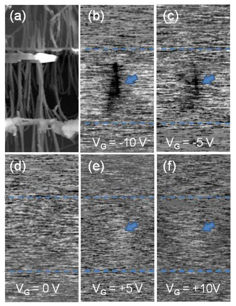 [보고서]나노선소자 안정화 핵심기술