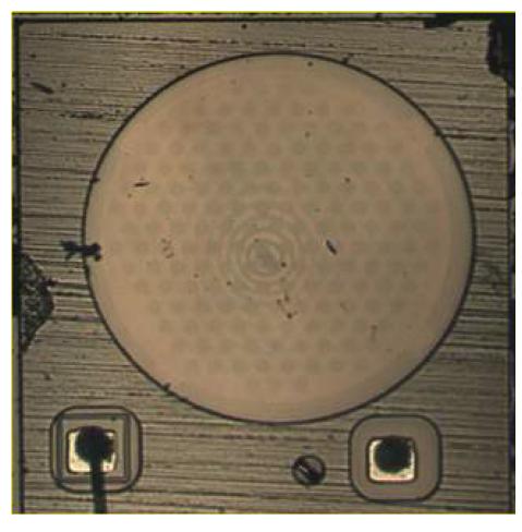 [보고서]Microphone용 초소형 고성능 MEMS 기술기반 acoustic die 개발