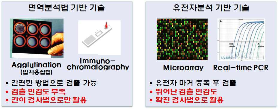 [보고서]다종의 병원균 및 바이러스의 동시 검출과 정량 분석을 위한 MLPA-CE-SSCP기반의 새로운 진단 플랫폼 기술 개발 및 이를 이용한 진단키트의 개발