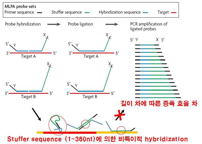 [보고서]다종의 병원균 및 바이러스의 동시 검출과 정량 분석을 위한 MLPA-CE-SSCP기반의 새로운 진단 플랫폼 기술 개발 및 이를 이용한 진단키트의 개발