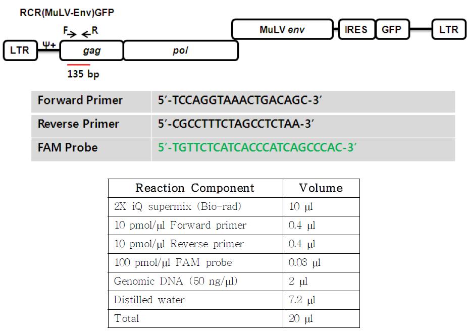 [보고서]암 유전자치료용 복제가능 레트로바이러스 안전성 연구