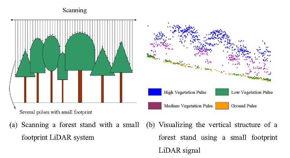 [보고서]항공라이다를 이용한 정량적 산림정보 해석