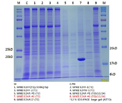[보고서]융복합기술 이용 유전자 발현 조절 기술개발