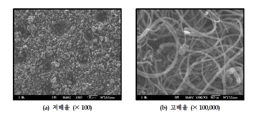 [보고서]신광원용 고성능 탄소나노튜브 전자방출원 개발