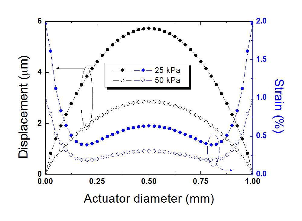 [보고서]미세 세포 칩을 이용한 3차원 세포 간 네트워크 및 세포외 복합 물리적 환경에 관한 연구