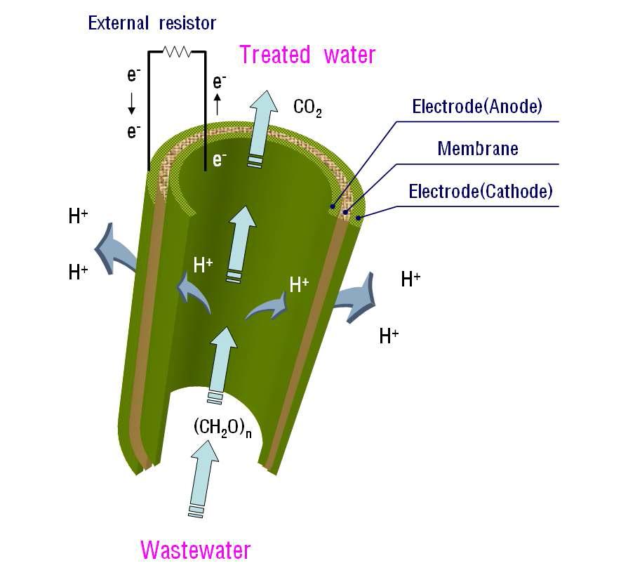 [보고서]폐수에서 전기 생산을 위한 Hollow MEA(Membrane Electrode Assembly)형 미생물 연료전지 개발