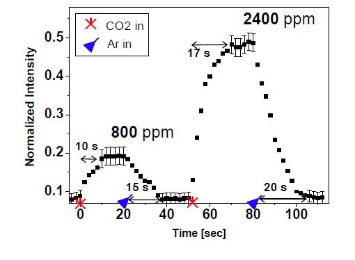 [보고서]저 전압 plasma-on-chip 제작 방법 및 응용 연구