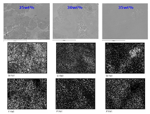 [보고서]금속연료 Pyroprocessing 공정발생 LiCl-KCl 공융염 함유 고준위 폐기물의 고화 및 특성평가 기술개발