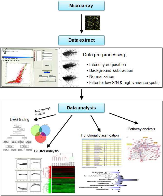 [보고서]바이오식품의 염증 및 산화적 스트레스 조절 기능평가용 분자 바이오마커의 유효성 평가 및 이를 활용한 응용기술 개발