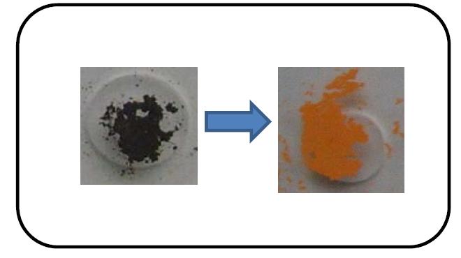 [보고서]조사핵연료 내 악티나이드 화학거동 규명 연구
