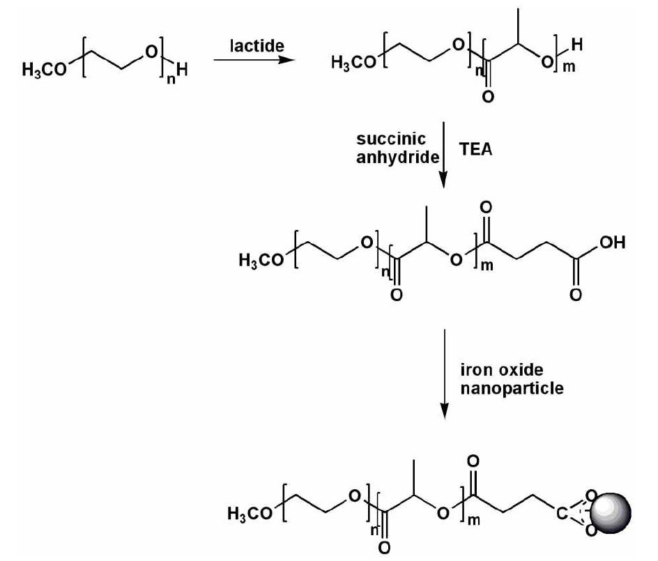 [보고서]의료용 나노구조체 기술개발