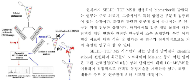 [보고서]SELDI-TOF MS를 이용한 수생태 모니터링 다중바이오마커 개발 및 생태적 해석