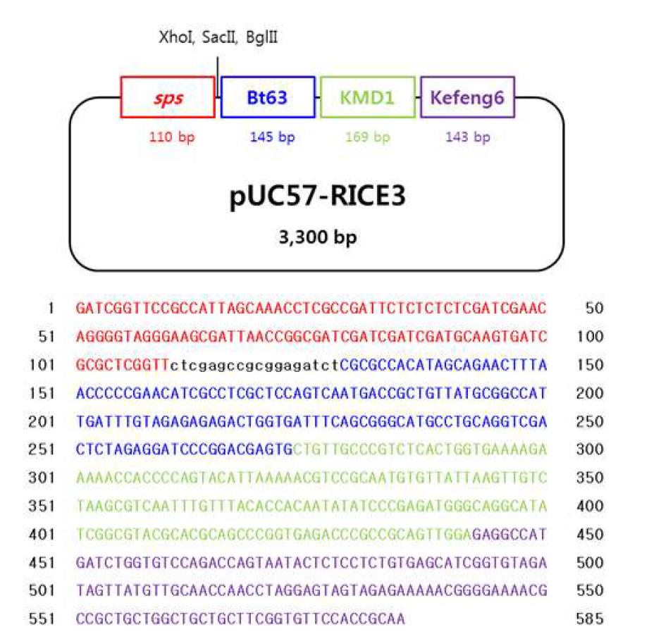 [보고서]미승인 유전자재조합 쌀 분석법 개발 연구