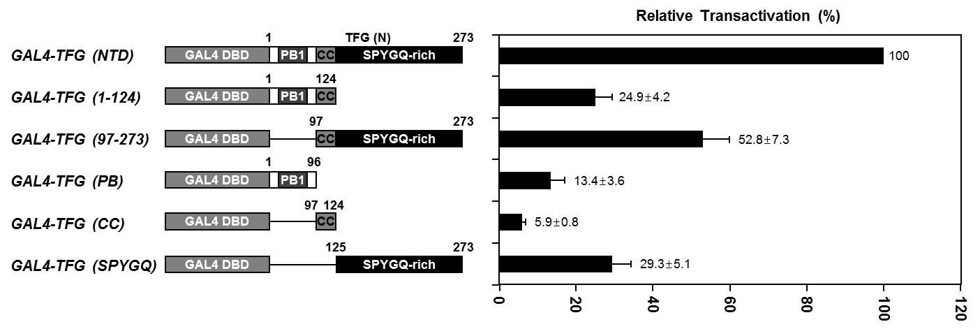 [보고서]인간 extraskeletal myxoid chondrosarcoma 표적분자로서의 TFG-TEC 기능 연구