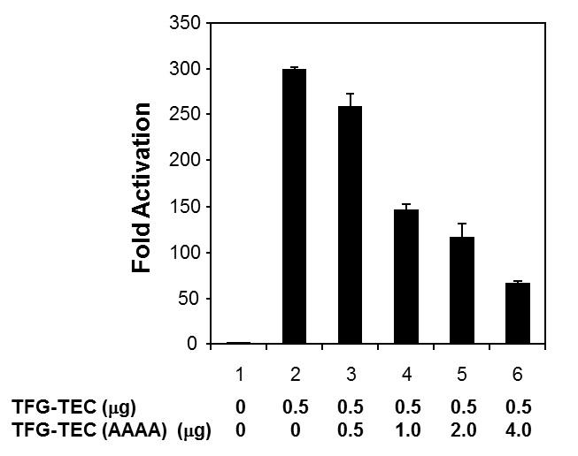 [보고서]인간 extraskeletal myxoid chondrosarcoma 표적분자로서의 TFG-TEC 기능 연구