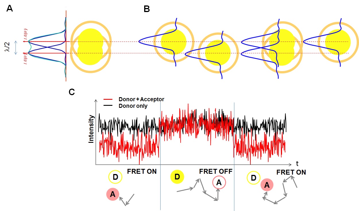 [보고서]Next-generation Optical Bio-Imaging System for Human Disease Research