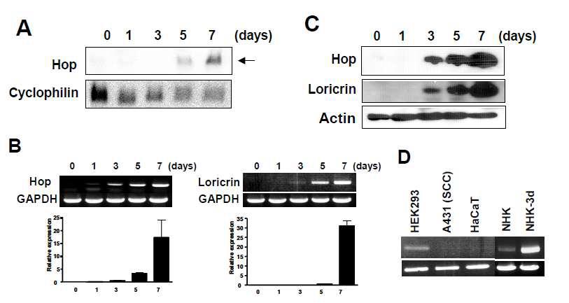 [보고서]한국인 아토피 피부염 관련 유전체 연구