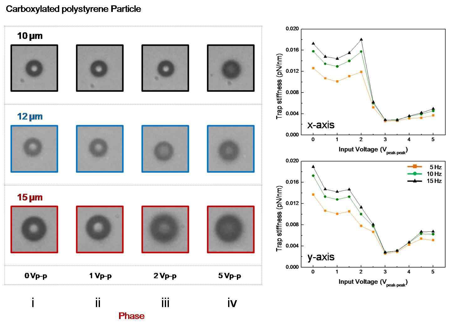 [보고서]2-D Multi-probes DEP Tweezers 측정기법 및 측정결과 해석을 위한 분자 모델 기반 전산모사 분석기법 개발