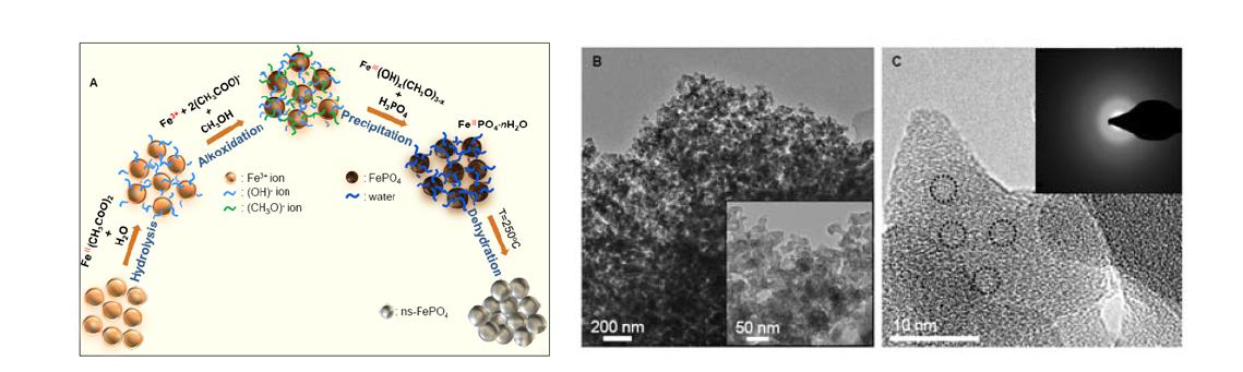 [보고서]다종 전하수송체 화학전지 GET-Future 연구실