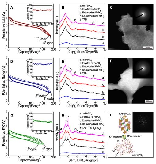 [보고서]다종 전하수송체 화학전지 GET-Future 연구실