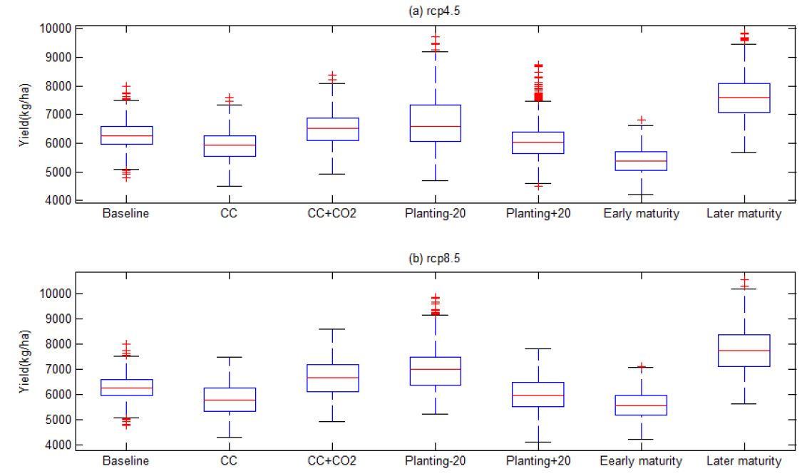 [보고서]Development of a Regional Rice Model for Assessing the Impact of ...
