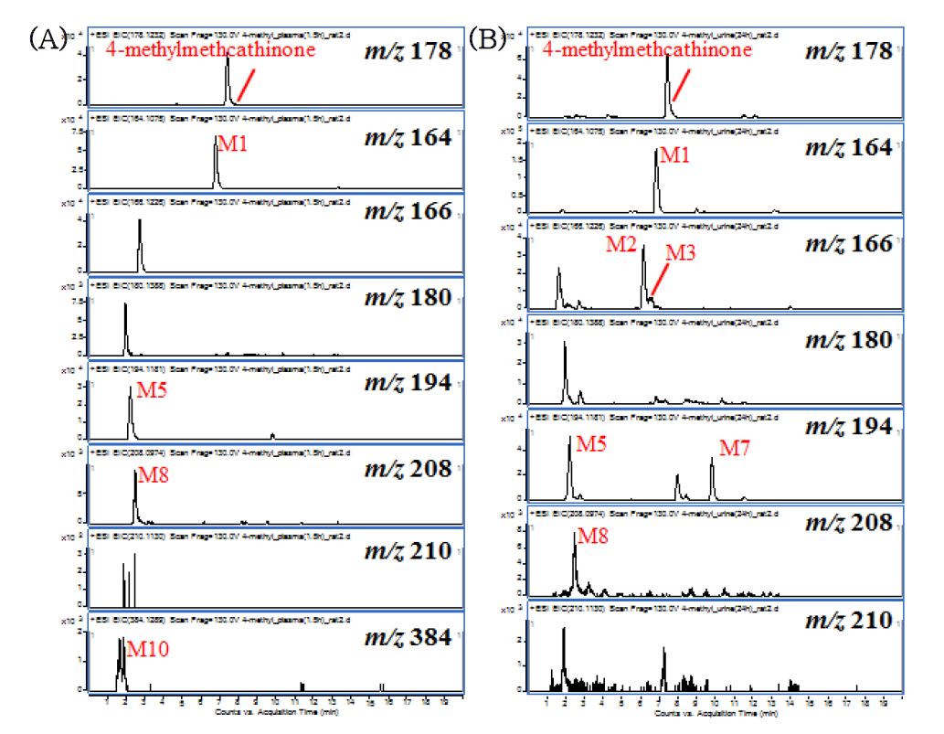 [보고서]신종 마약의 대사 경로 규명 및 검출법 확립