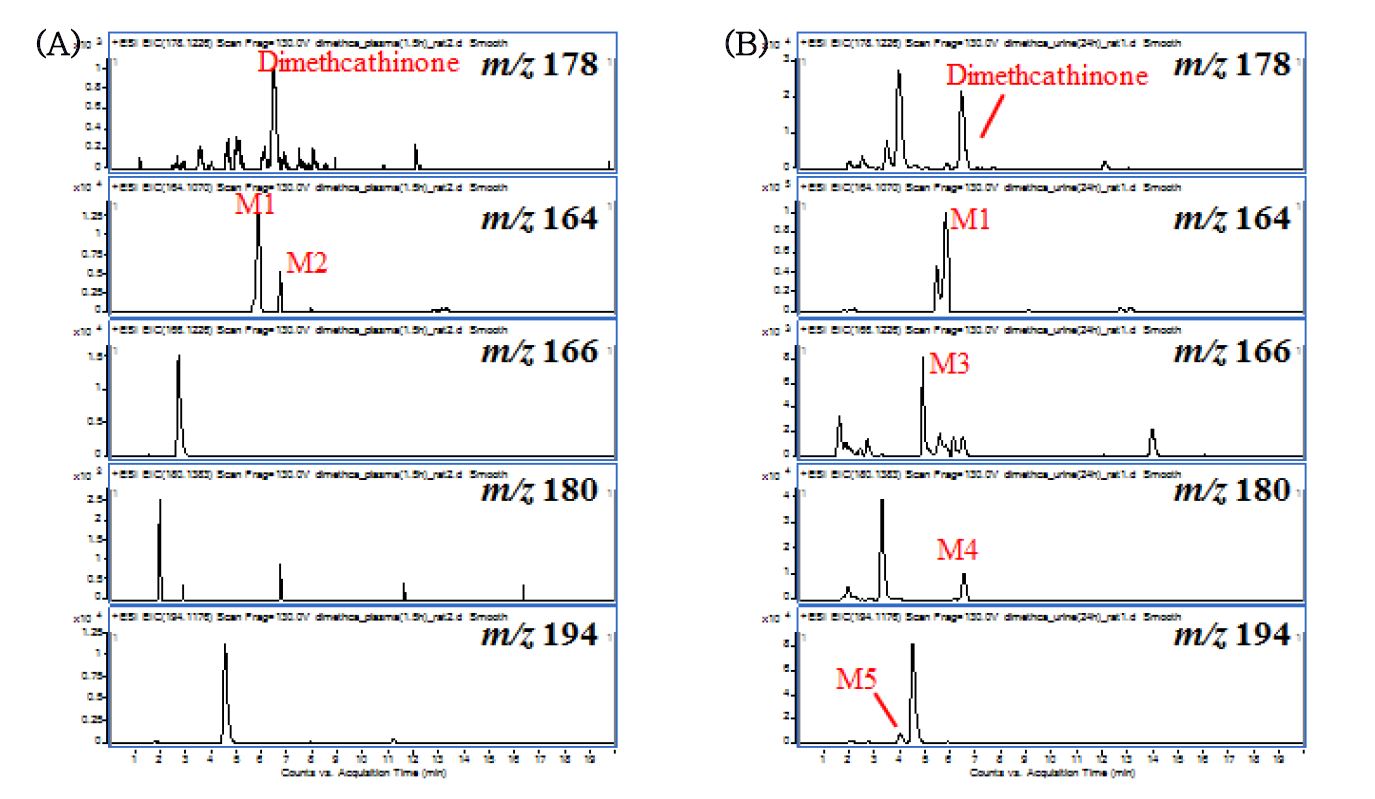 [보고서]신종 마약의 대사 경로 규명 및 검출법 확립