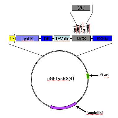 [보고서]바이러스 제어 및 활용 시험평가 기술