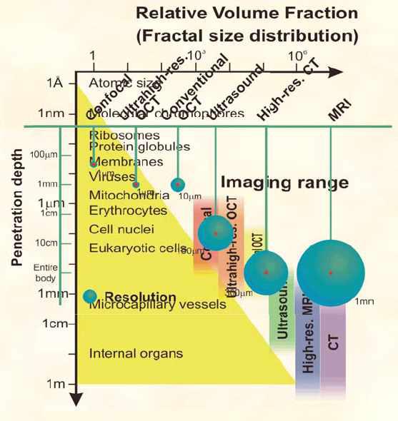[보고서]탈부착이 쉬운 치과용 광 이미징을 위한 광프로브 개발