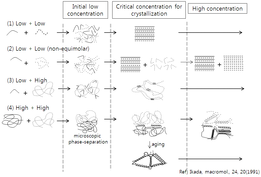 [보고서]폐 작물 부산물을 이용한 젖산 및 생분해성 수지 대량 생산기술 개발