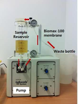 [보고서]신개념 나노 수송체를 이용한 돼지 PRRSV 바이러스 유전자 백신 개발