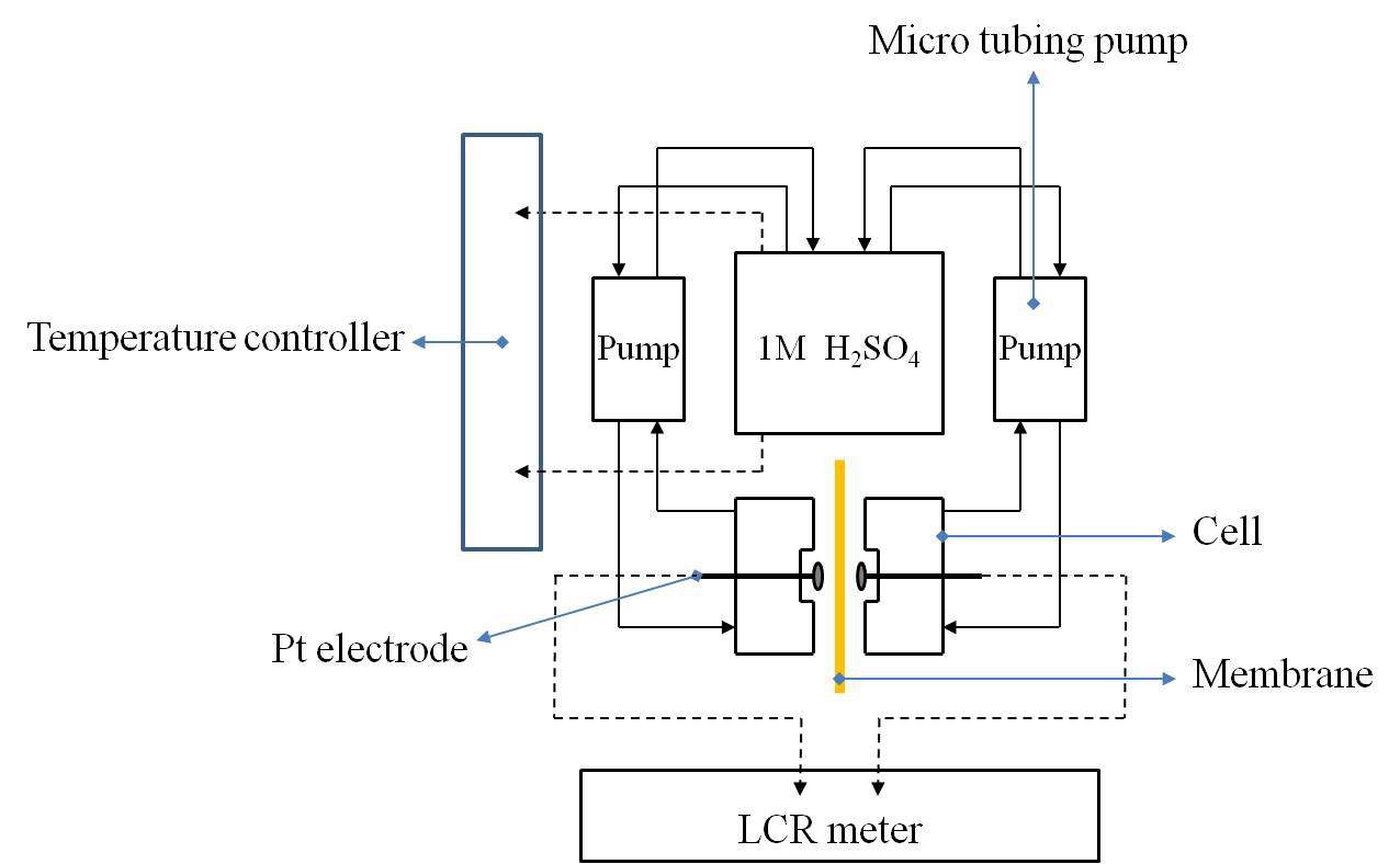 [보고서]고효율 수전해용 탄화수소계열(SPEEK) 전해질 고분자막 개발