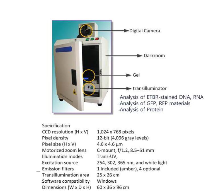 [보고서]Gel-LitTM(Gel Document System) 기기 및 통합 영상처리 솔루션 개발
