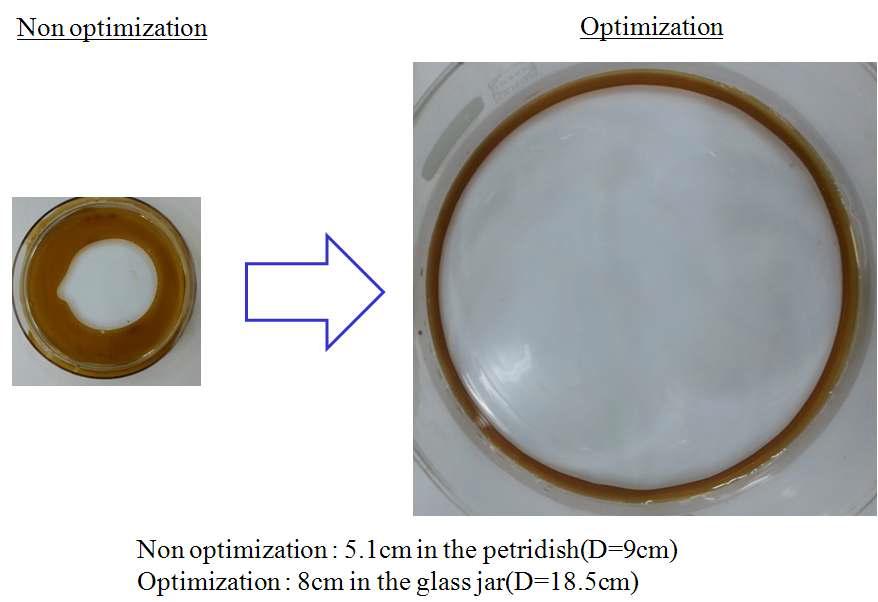 [보고서]반려동물 가정맞춤형 위생용품 개발