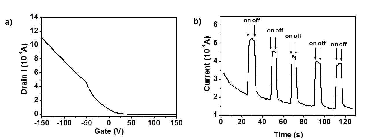 [보고서]자기조립된 탄소구조체와 이들의 소자 응용을 위한 메조크기효과(MSE) 연구